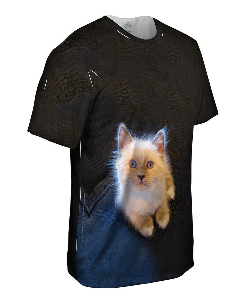 Fluffy Kitty Cat Stare Mens T-Shirt | Yizzam