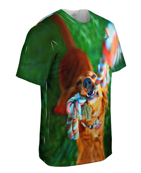 Golden Lab Tug O War Mens T-Shirt | Yizzam