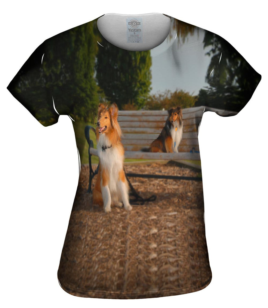 Handsome Border Collie Womens Top | Yizzam