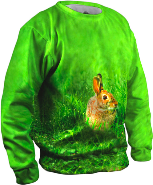 Peter Rabbit Mens Sweatshirt | Yizzam