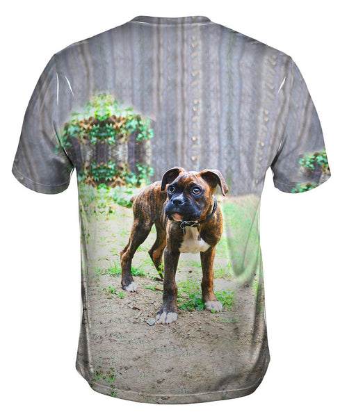 Tiger Striped Boxer Mens T-Shirt | Yizzam