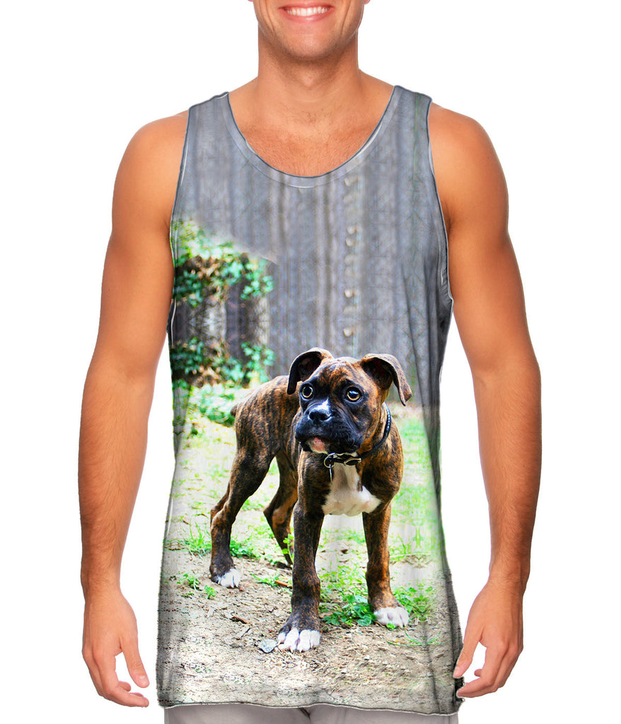 Tiger Striped Boxer Mens Tank Top | Yizzam