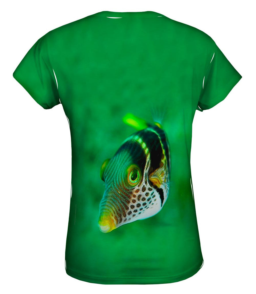 Valentini Fish Stare Underwater Womens Top | Yizzam